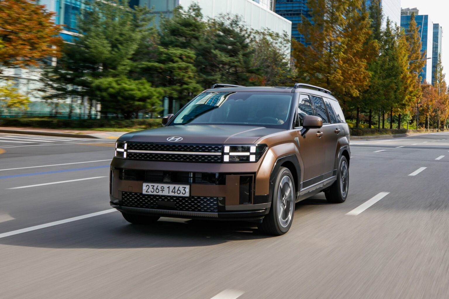 Hyundai Santa Fe - Autocritica